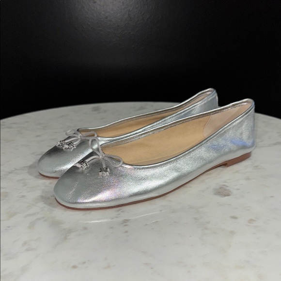 Sam Edelman | Shoes | Sam Edelman Elegant Silver Ballet Flats | Poshmark
